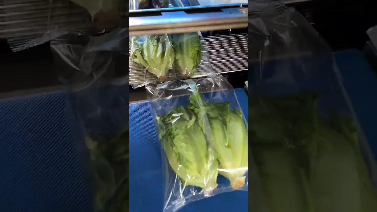 Efficient Fruit and Vegetable Packaging with Fully Automatic Horizontal ...