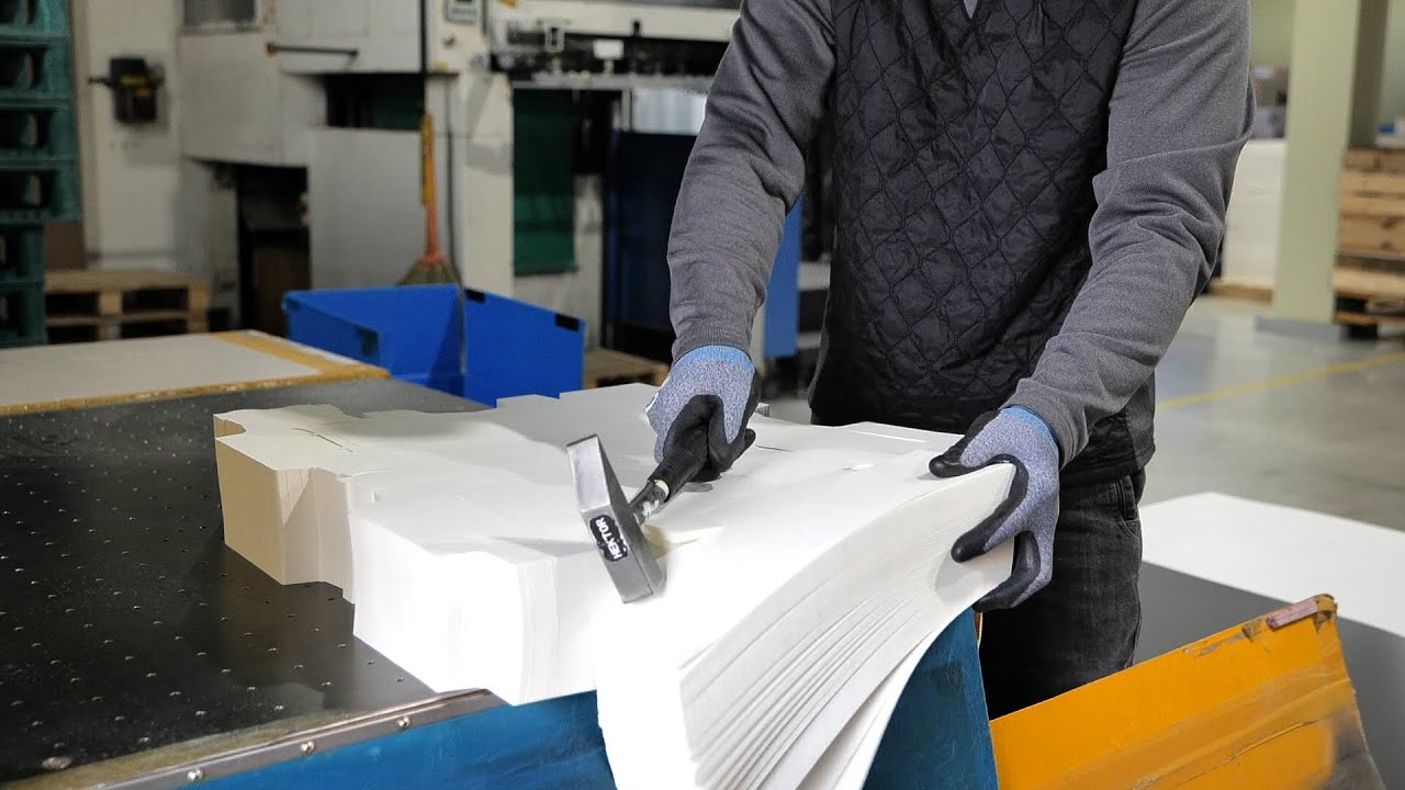 "Automated Paper Packaging Factory in Korea: Streamlined Industrial ...