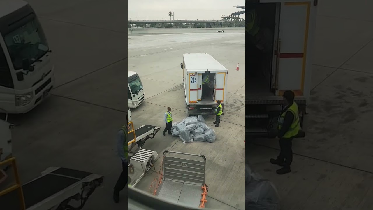 "Efficient Baggage Handling System Revolutionizes Hamad International ...