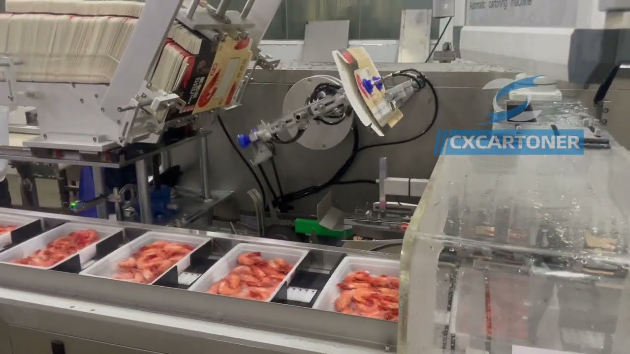 "Innovative Automated Solution for Efficient Frozen Food Packaging ...