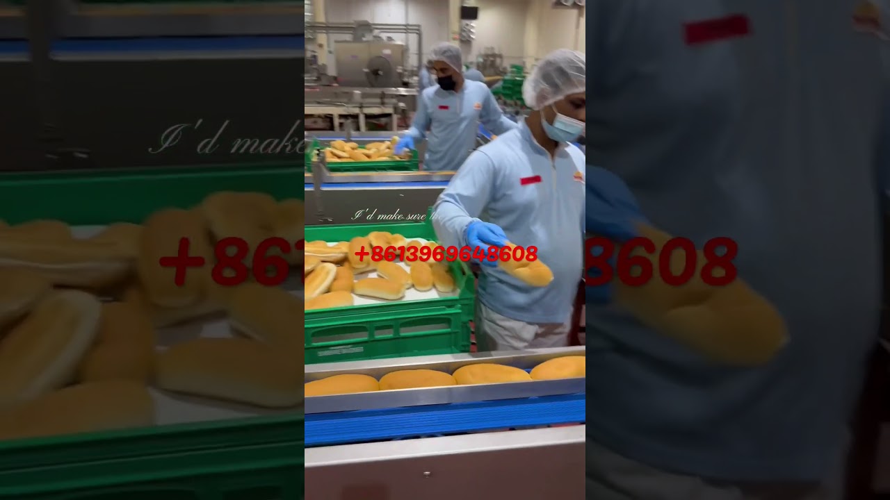 "Innovative Bakery Solution: Streamlined Hot Dog Bun Packaging System ...