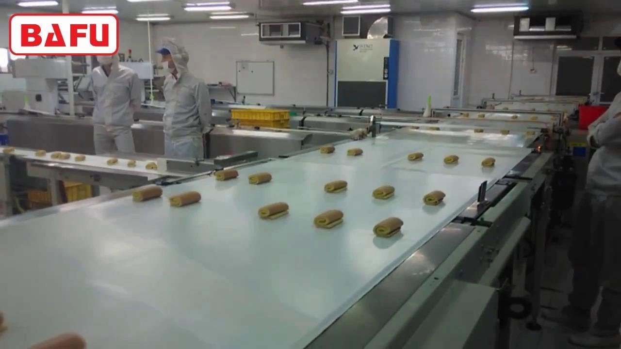"Innovative Cake Packaging Line: A Breakthrough in Fully Automated ...