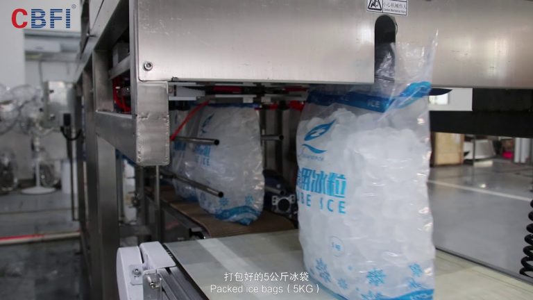"Innovative Ice Packaging Solution for Industrial Packing Lines ...