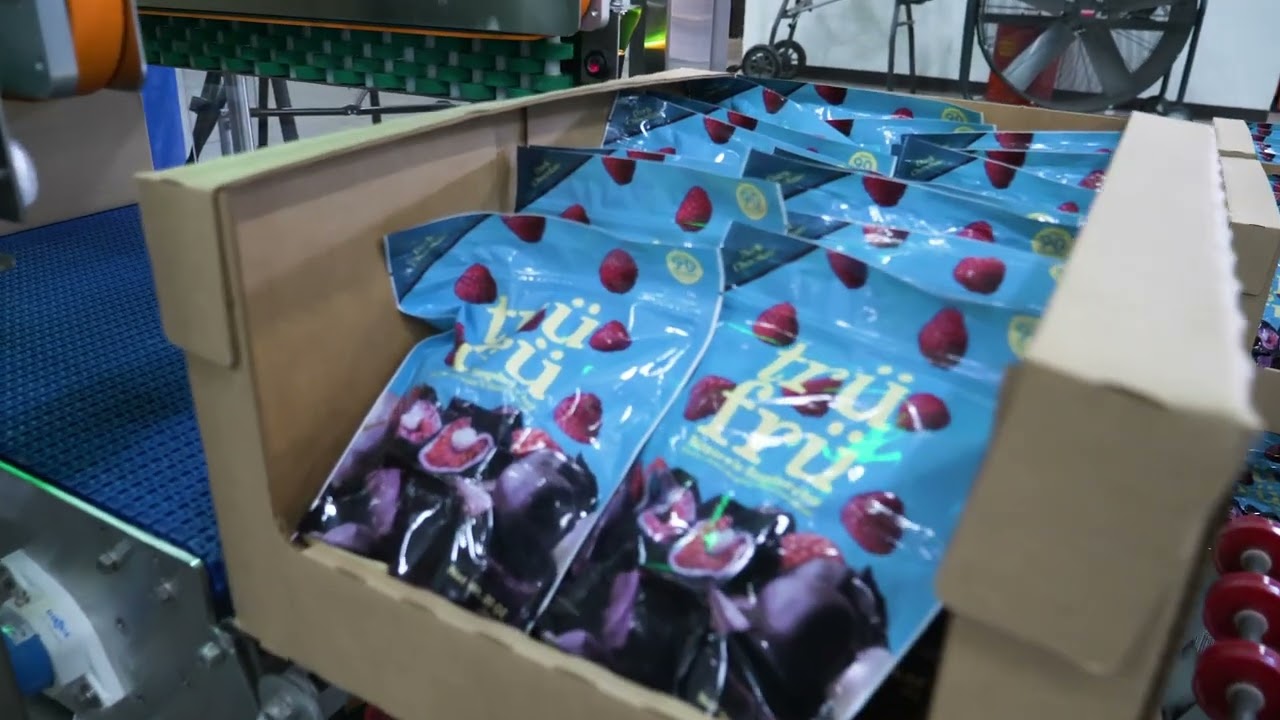 Innovative In-Plant Case Packer for Frozen Food Packaging Equipment ...