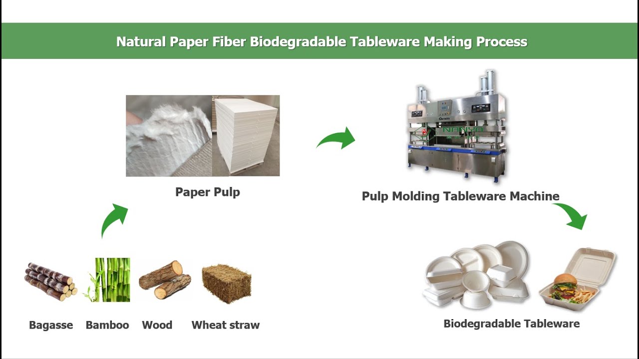 "Innovative Process: Eco-Friendly Machine for Producing Biodegradable ...