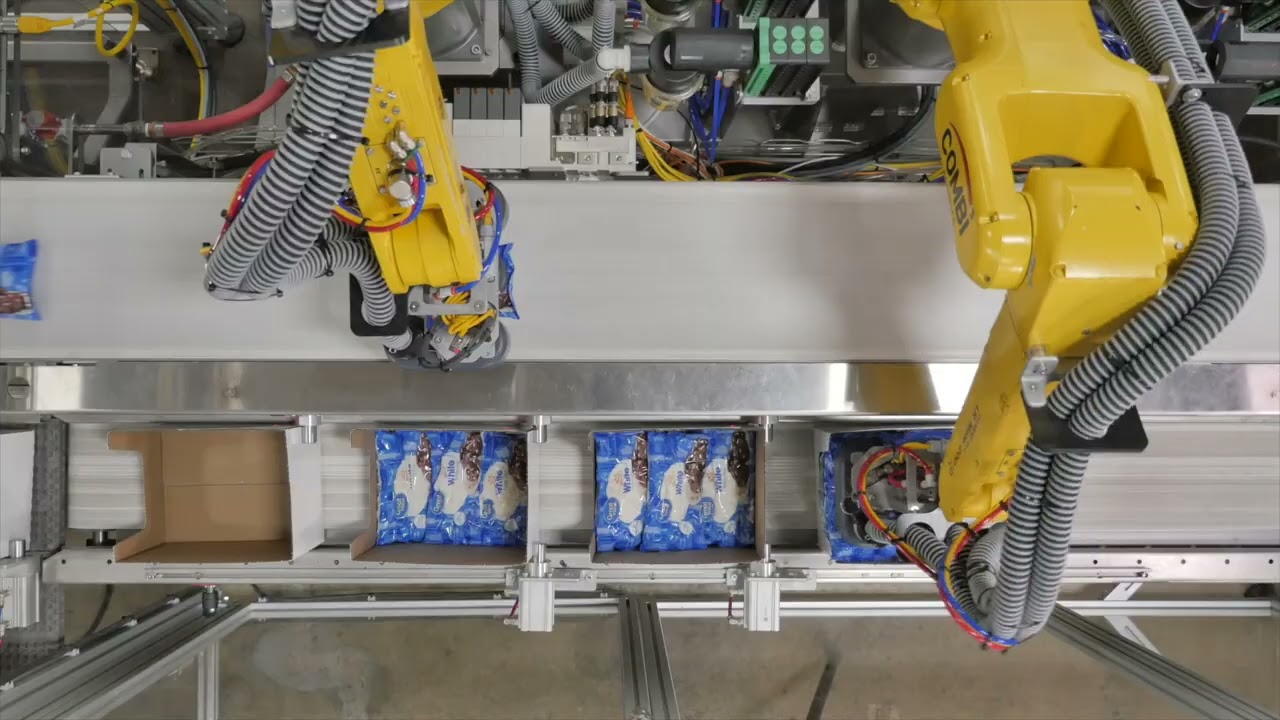 Innovative Robotic System: Revolutionizing Flexible Packaging for ...