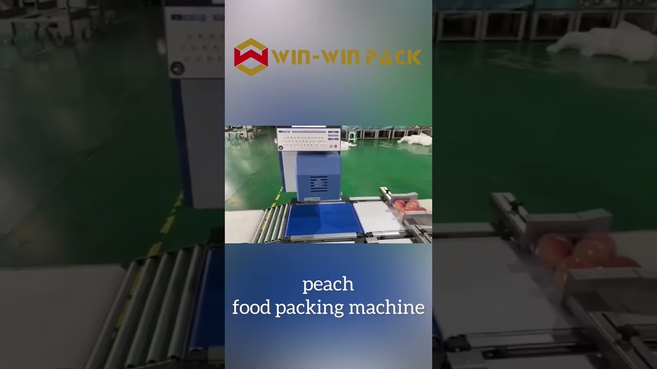 "Innovative Tomato Fruit and Vegetable Packing Machine Revolutionizes ...