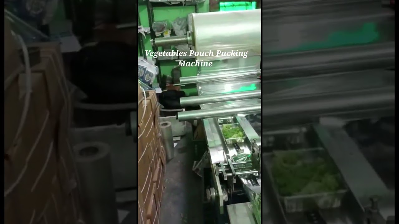 "Revolutionary Vegetable Packaging Machine: Enhanced Horizontal Flow ...