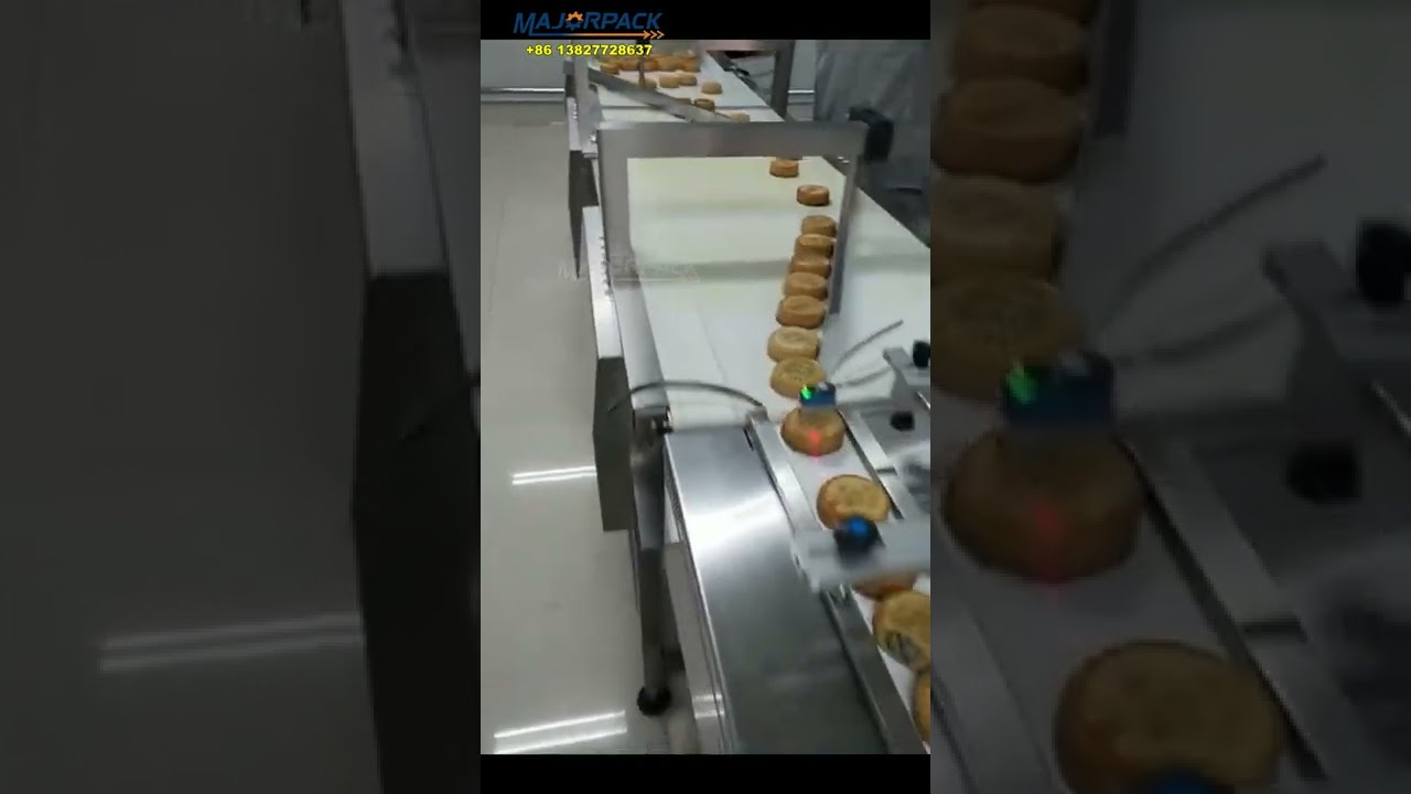 "Innovative One-to-One Tray Packing System for Food Packaging: Full ...