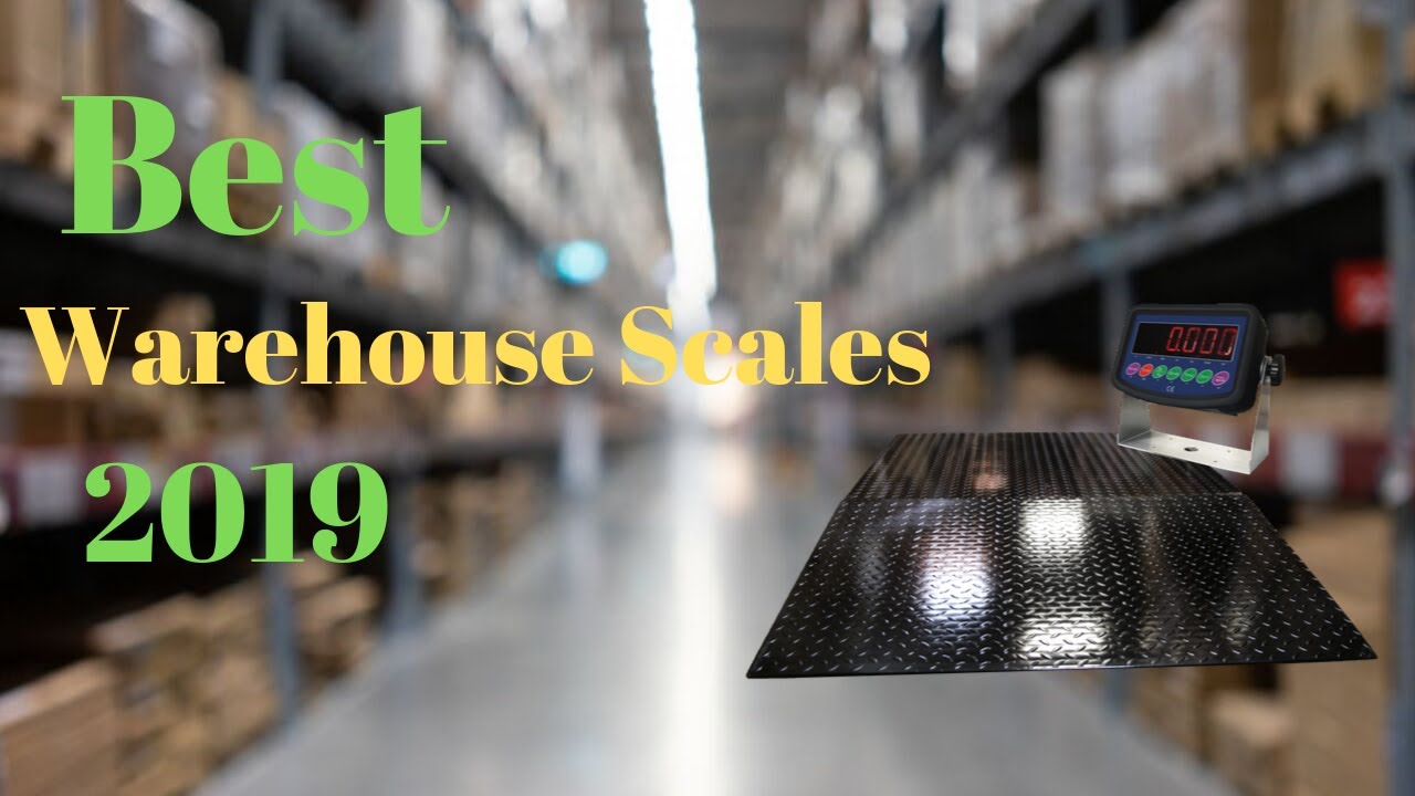 Top 5 Warehouse Scales with Pallet Wrapper Integration - orbital ...